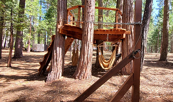 "Tree House Platforms - Tree Deck Builders"